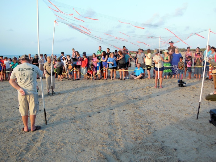 Beach Weekend on Padre Island - Fearless Captivations