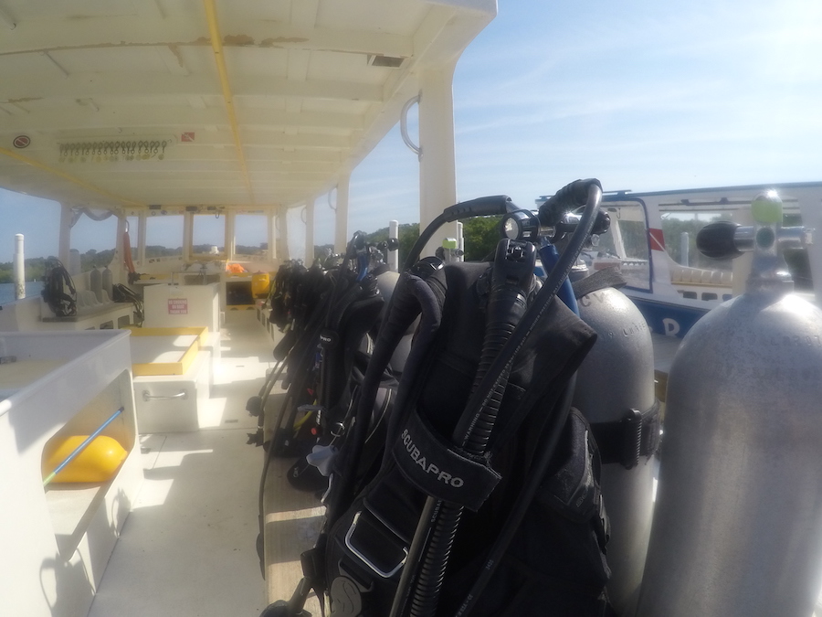 Scuba Diving in Roatan, Honduras | Fearless Captivations