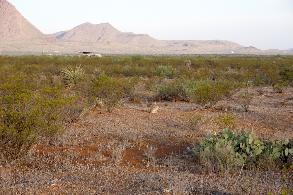 Big Bend National Park Travel Guide | Fearless Captivations