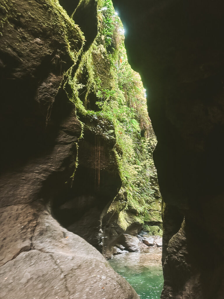 10 Best Things to Do in Dominica - Caribbean’s Nature Island