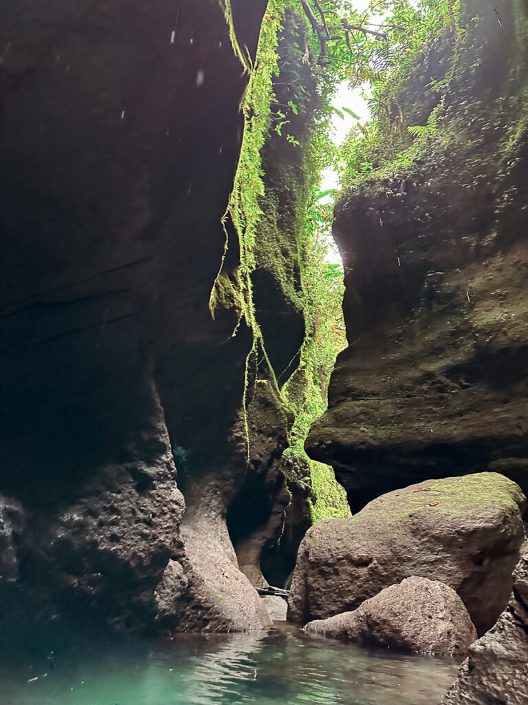 10 Best Things to Do in Dominica - Caribbean’s Nature Island