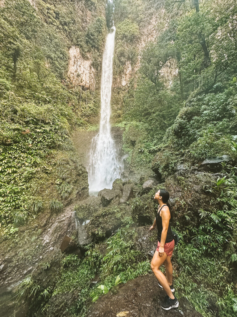 10 Best Things to Do in Dominica - Caribbean’s Nature Island